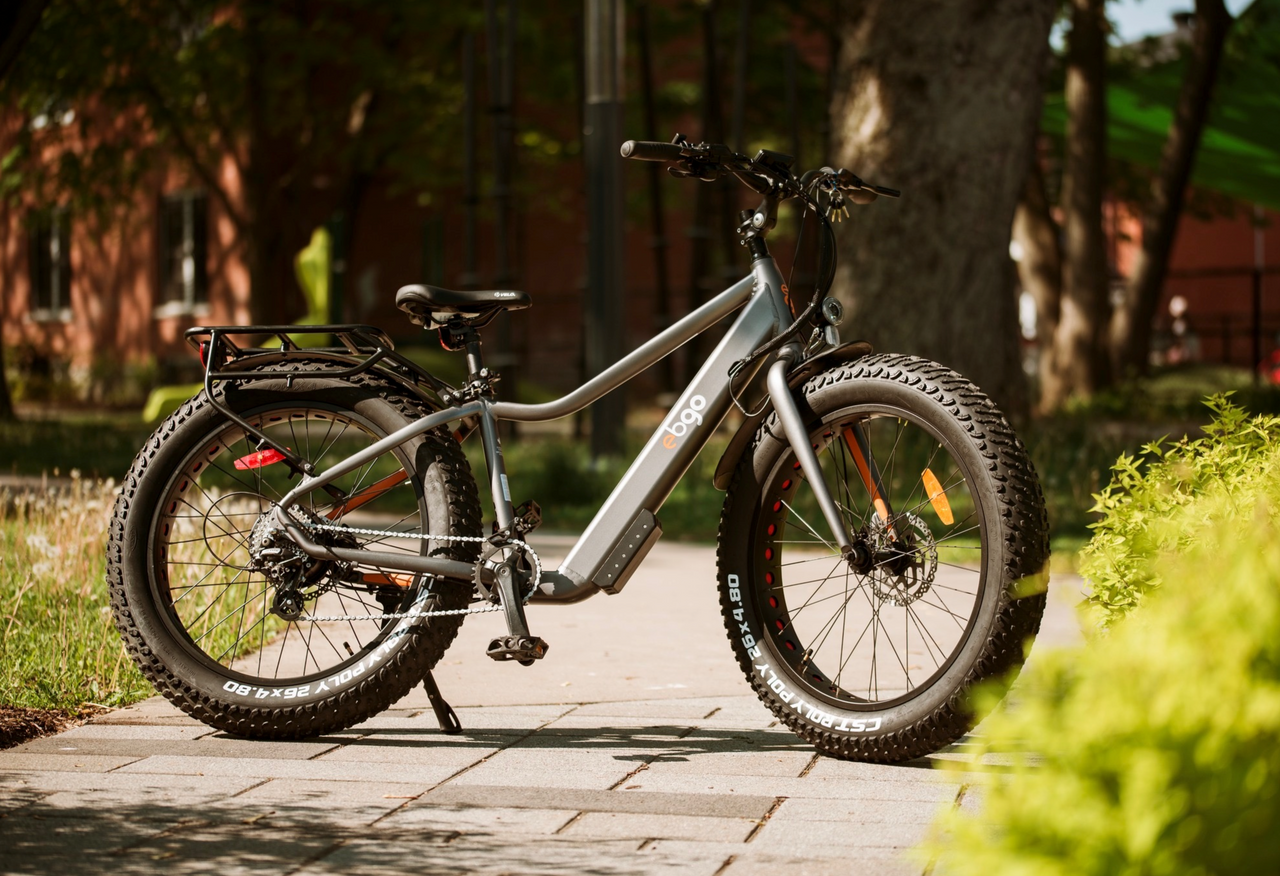 CCEF - BOÎTE OUVERTE CERTIFIÉE – Ebgo Electric Bikes