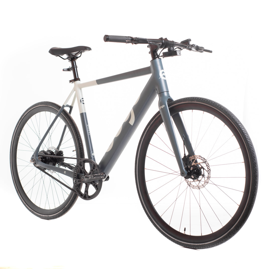 EBGO Electric Bikes - Designed In Canada – Ebgo Electric Bikes