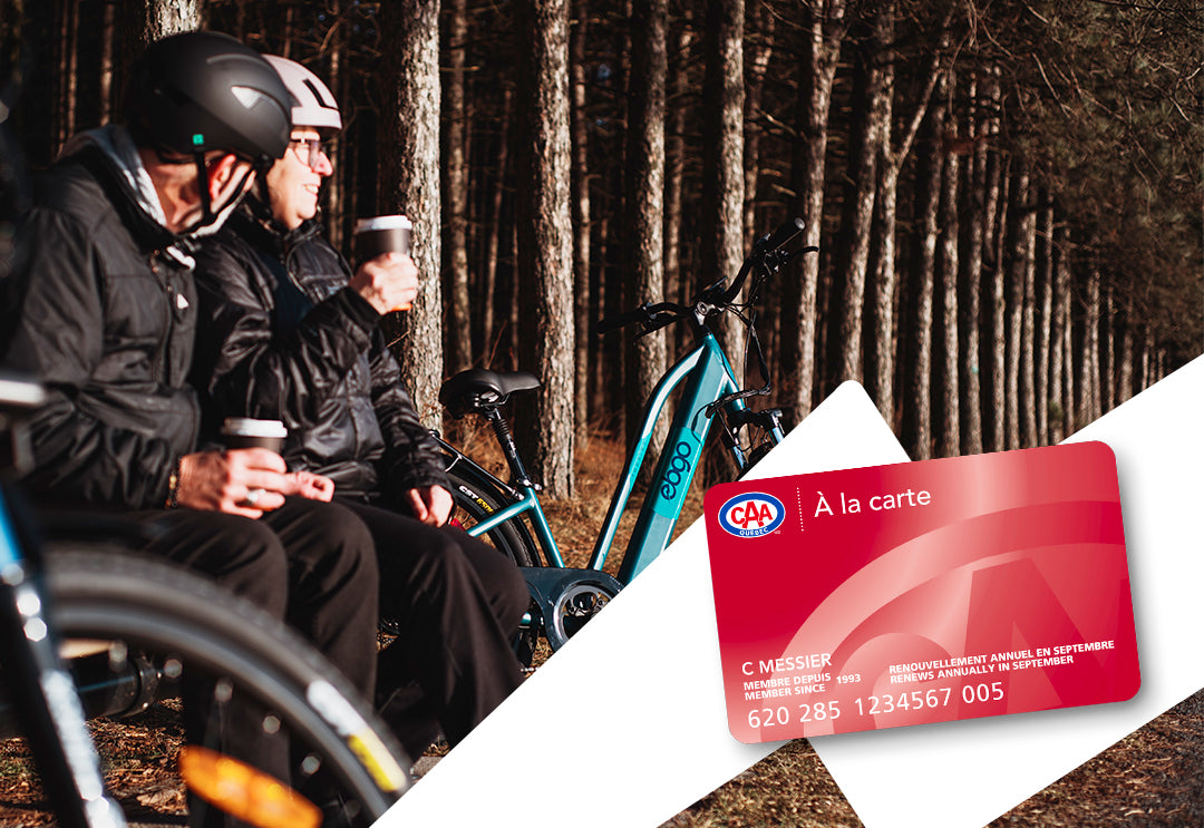 Batterie G4 – Ebgo Electric Bikes