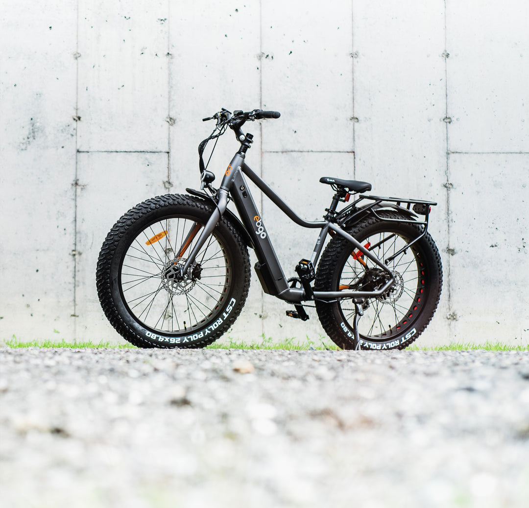 Open box – Ebgo Electric Bikes