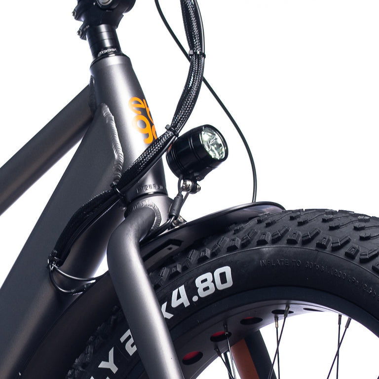 CCEF - BOÎTE OUVERTE CERTIFIÉE – Ebgo Electric Bikes