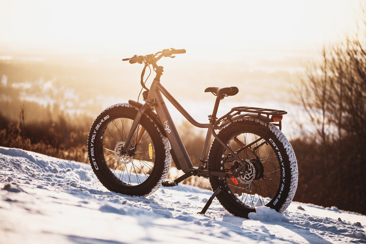 CCEF - BOÎTE OUVERTE CERTIFIÉE – Ebgo Electric Bikes